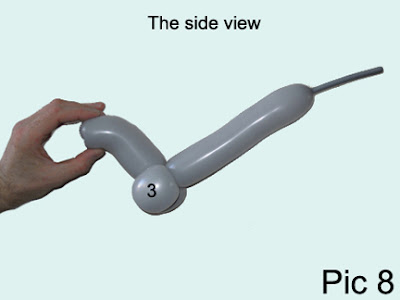 CLASSICAL: Balloon squirrel