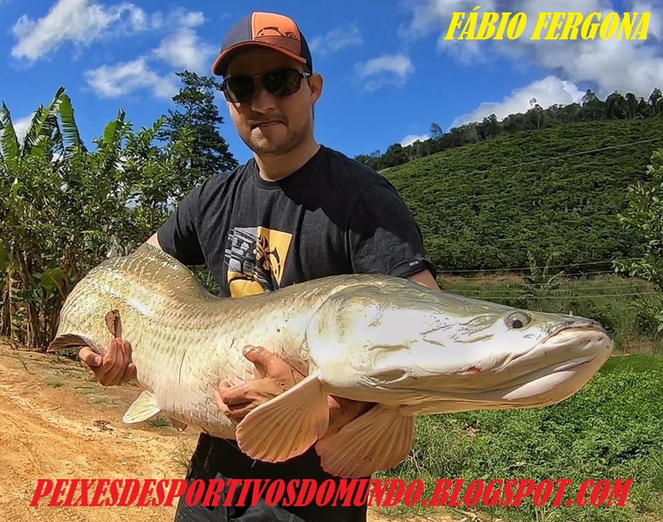 PEIXES DESPORTIVOS DO MUNDO: outubro 2009