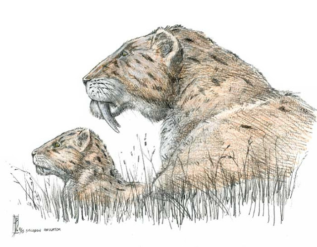 Uncle Macs Garden Shed: SOMETHING DEAD FROM THE SHED - Smilodon, the ...