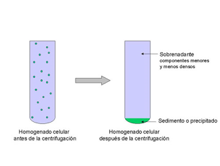 Miyo Spiral: Práctica 12 Manejo, Cuidados y Mantenimiento de la Centrifuga