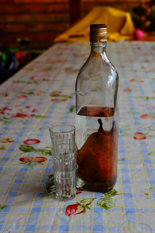 [Shaken Not Stirred] Ţuică | moldovaholiday