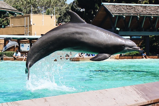 San Diego Photo Diary (SeaWorld & Beach) - The Trendy Chick