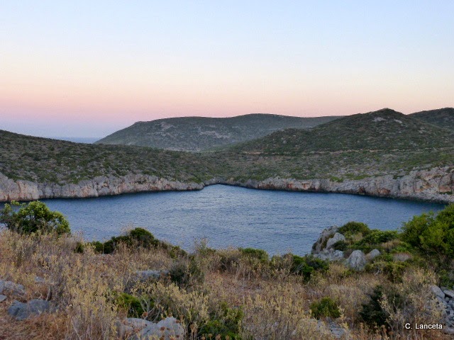 En busca de la cuadratura del círculo: Zarax o Zarakas