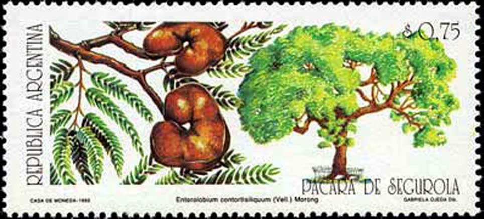 Cuentos Mágicos: La leyenda del Timbo - Varias versiones