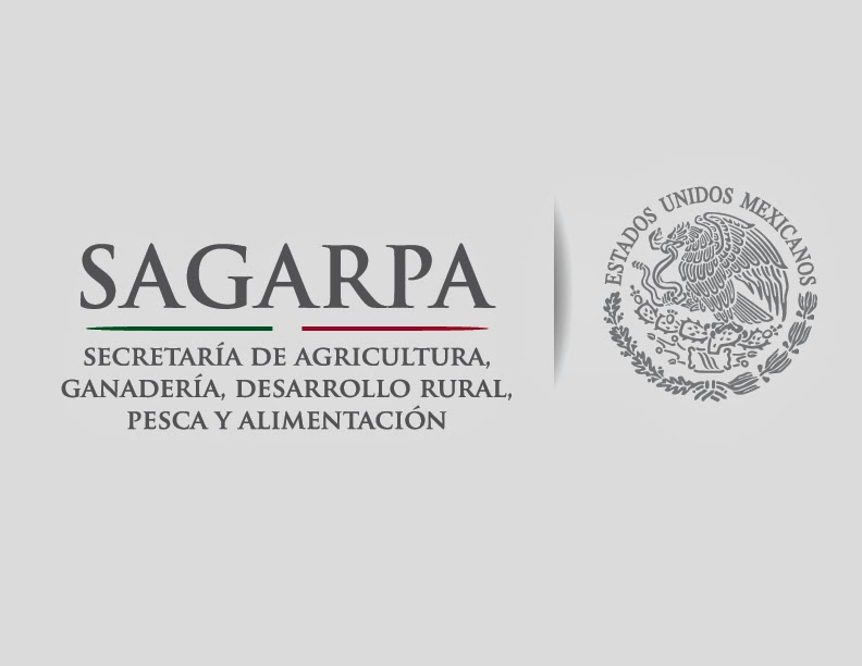 SAGARPA: Rendición de cuentas y transparencia, factores para impulsar a ...