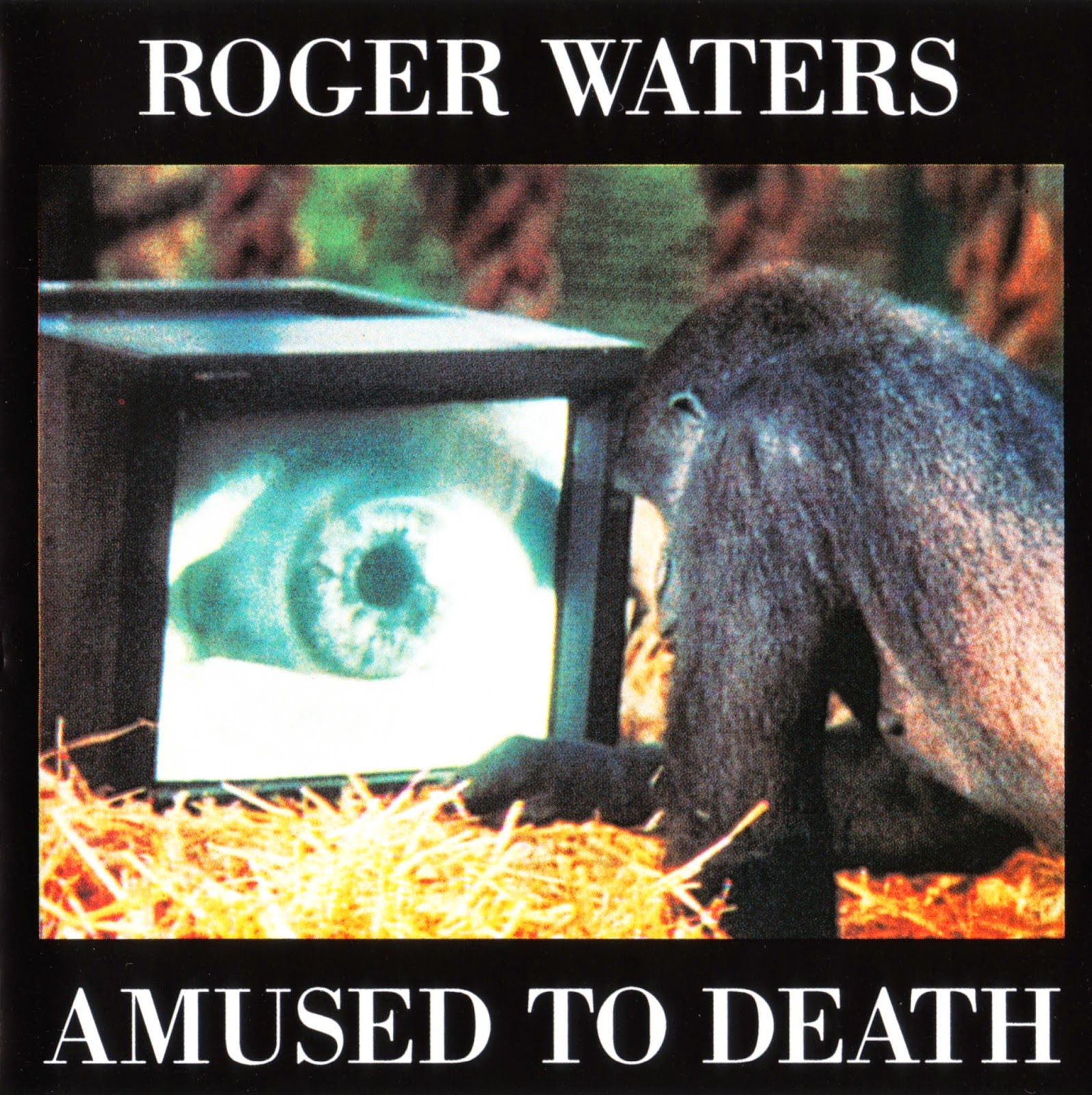 PINK FLOYD: Roger Waters