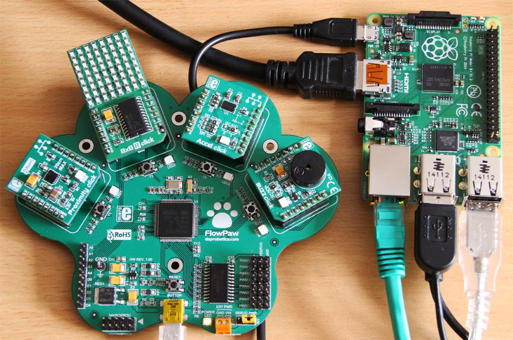 DSP Robotics Blog: FlowPaw and Raspberry Pi