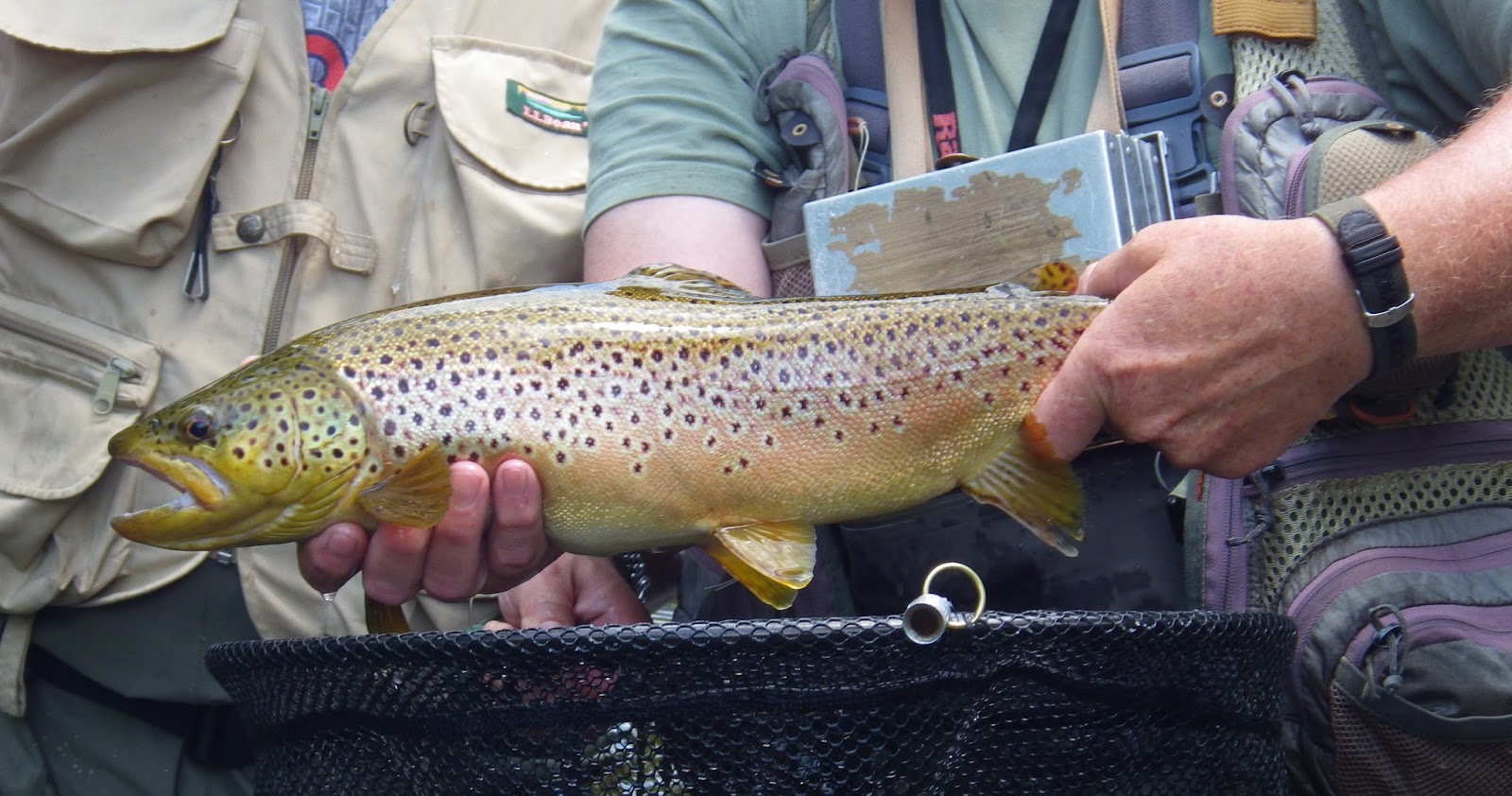 Vermont Fly Fishing: Summertime conditions in Vermont