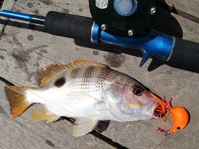 Tackle Source: EASY DOES IT