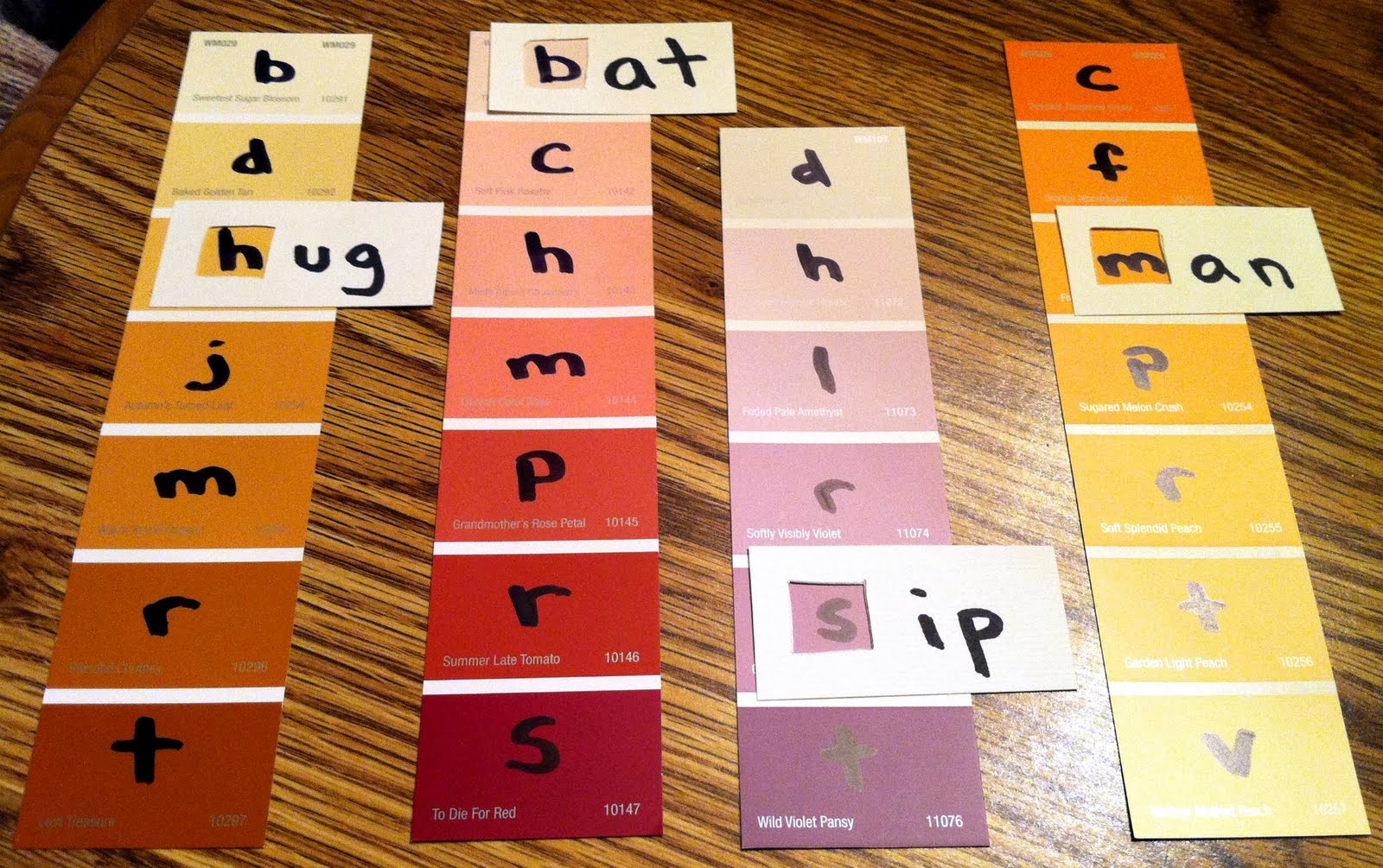 Testy yet trying: Easy Word Family Practice Cards (or articulation ...