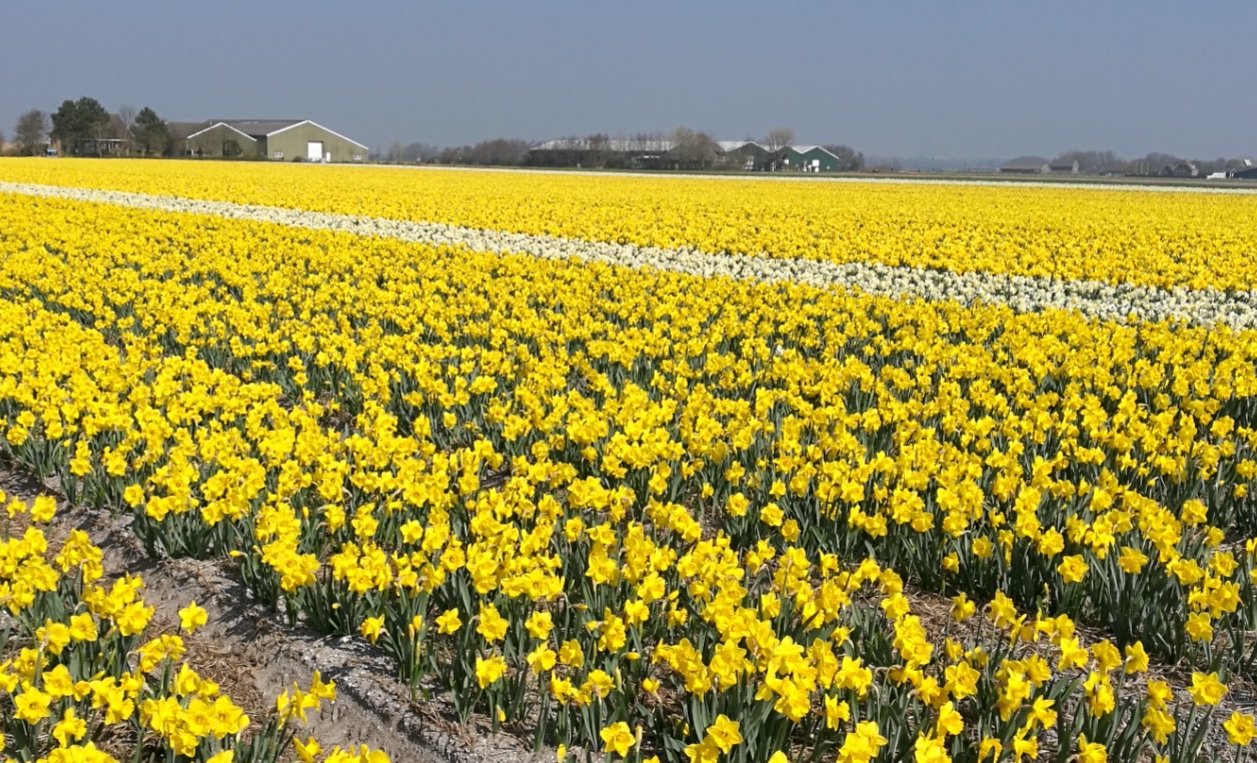 The Big Wobble : Photo of the day: A wonderful warm early spring has ...