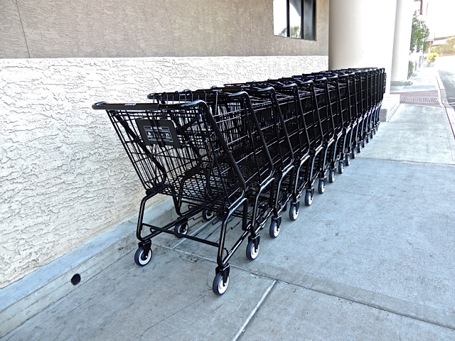 Phoenix Daily Photo: Shopping Carts