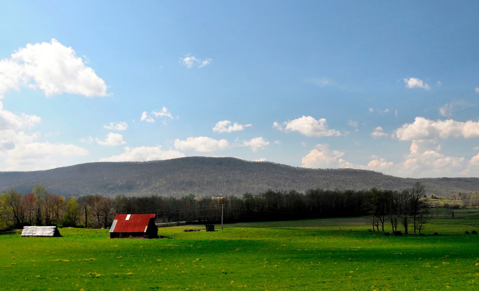 Larry Crawford Photography: Grassy Cove, Tennessee