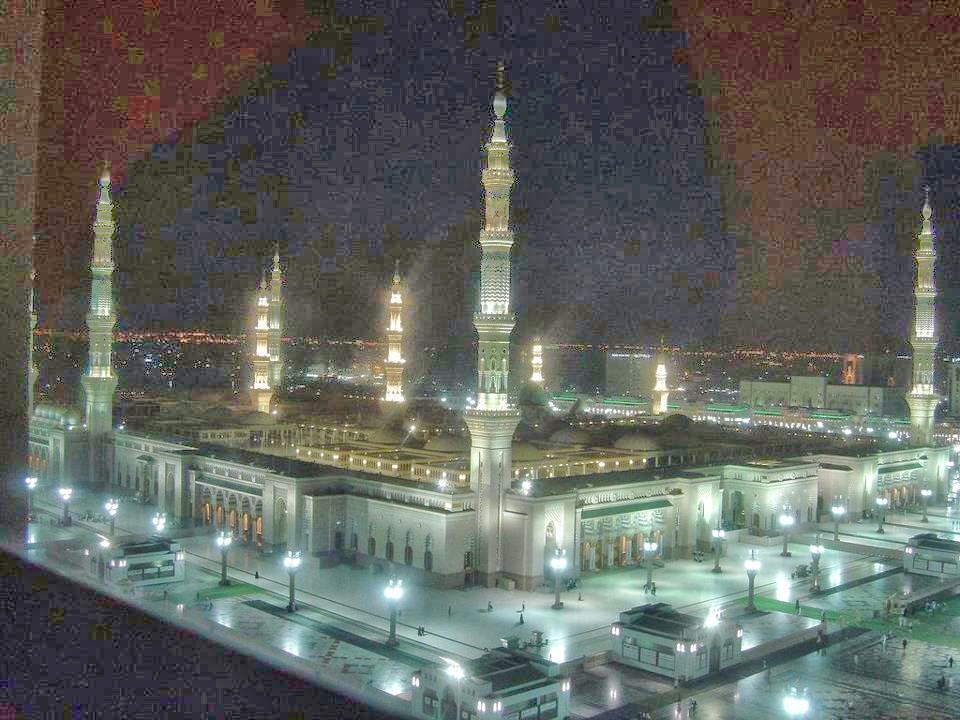 Macca & Madina - Nature & Knowledge Photography