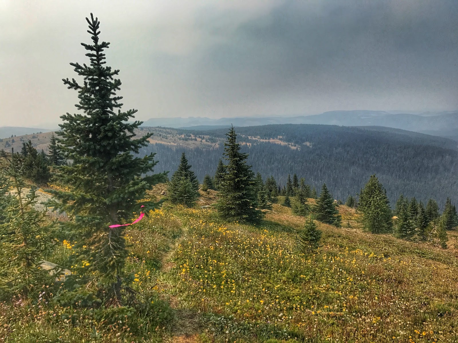 Race Report - 2017 Fat Dog 120 Mile Race - Ultra Kraut Running