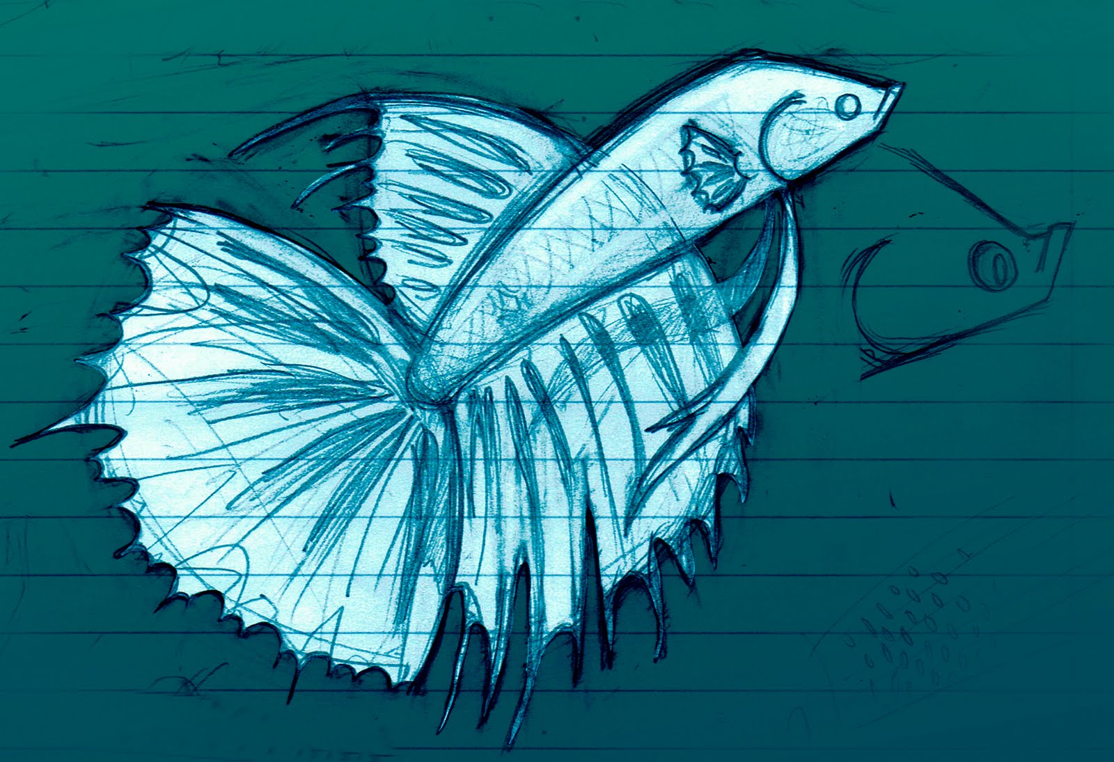 betta splendens: Betta Splendens (Siamese fighting fish) sketch