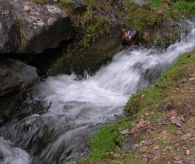 Unit 3-5 The Interactive Design Project: Flowing Rhythm