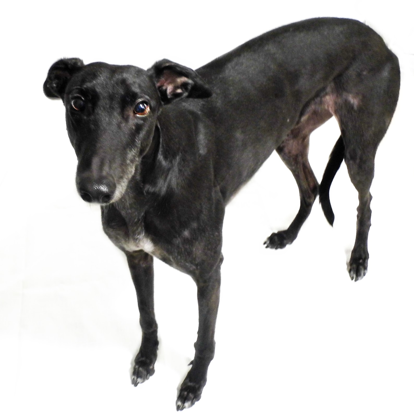 Fresh Coat of Paint: Father's Day Gift Idea