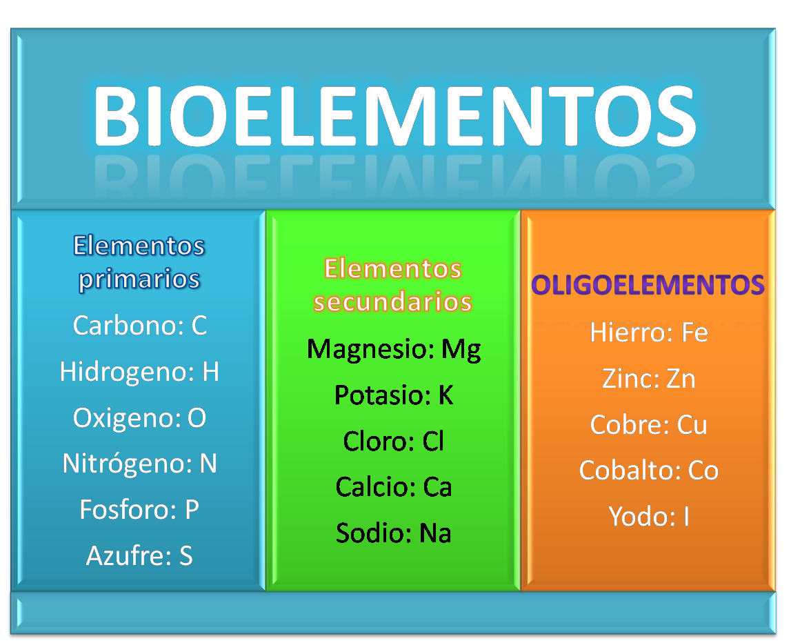 Biologia.: los bioelementos