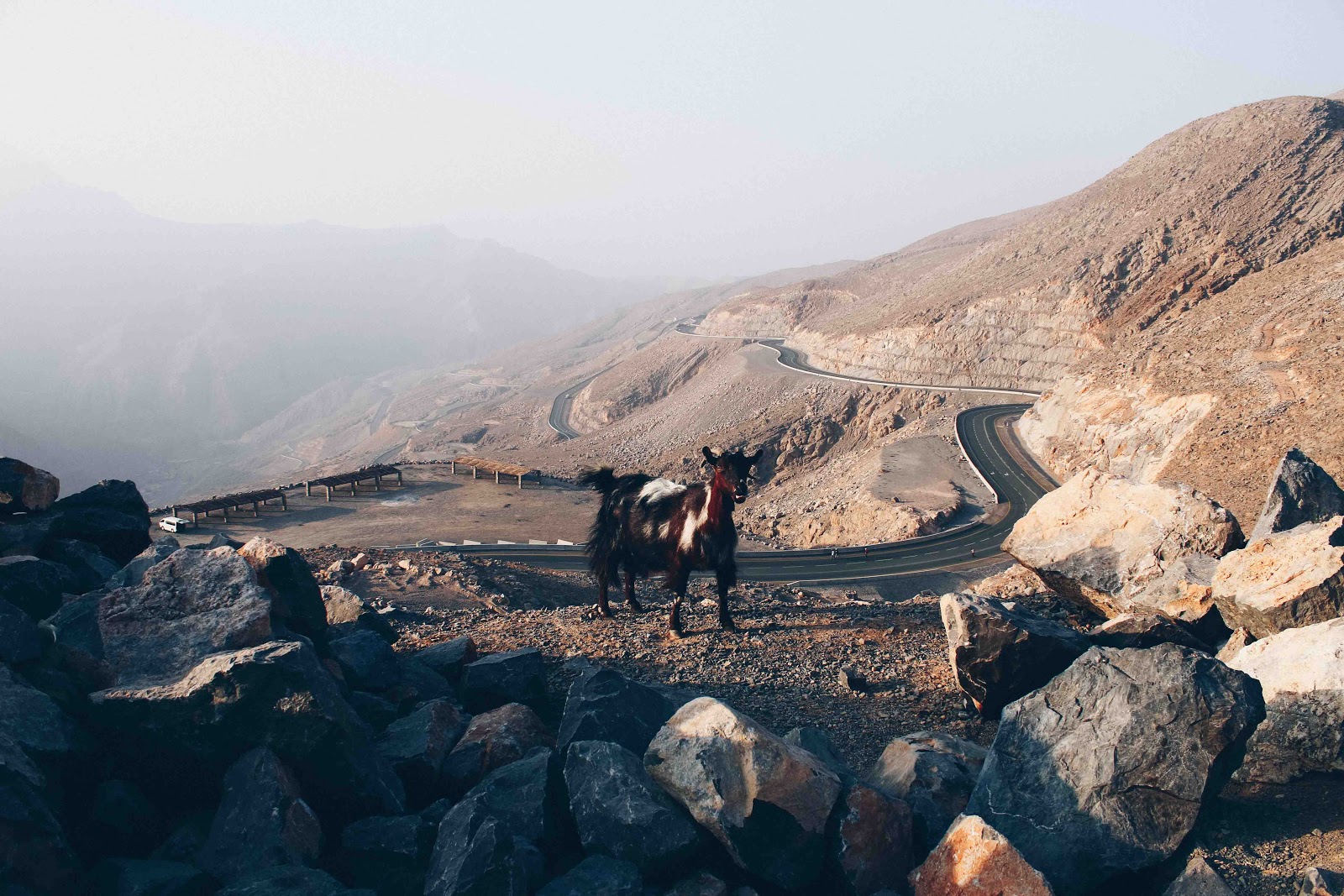 Jebel Jais Mountain, Ras Al Khaimah — The Thrift Trip - A mother and ...