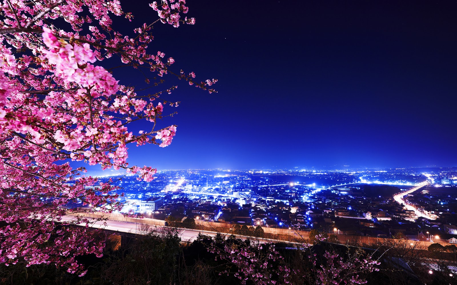 miasto nocą, widok, wiosna, fajne, tło pulptu