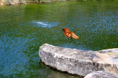 cousin nancy: A De-Clutter State Of Mind!