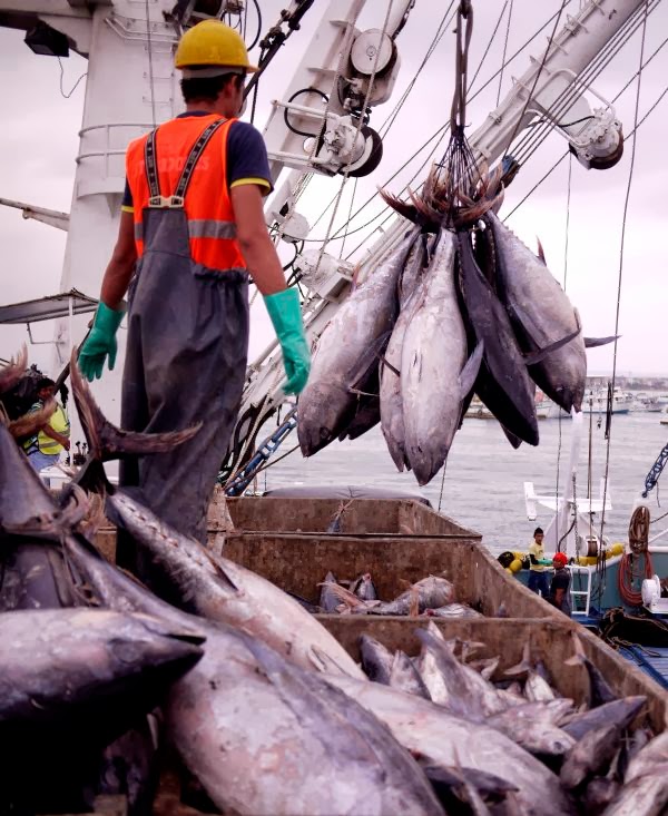 Aquarium News and Updates