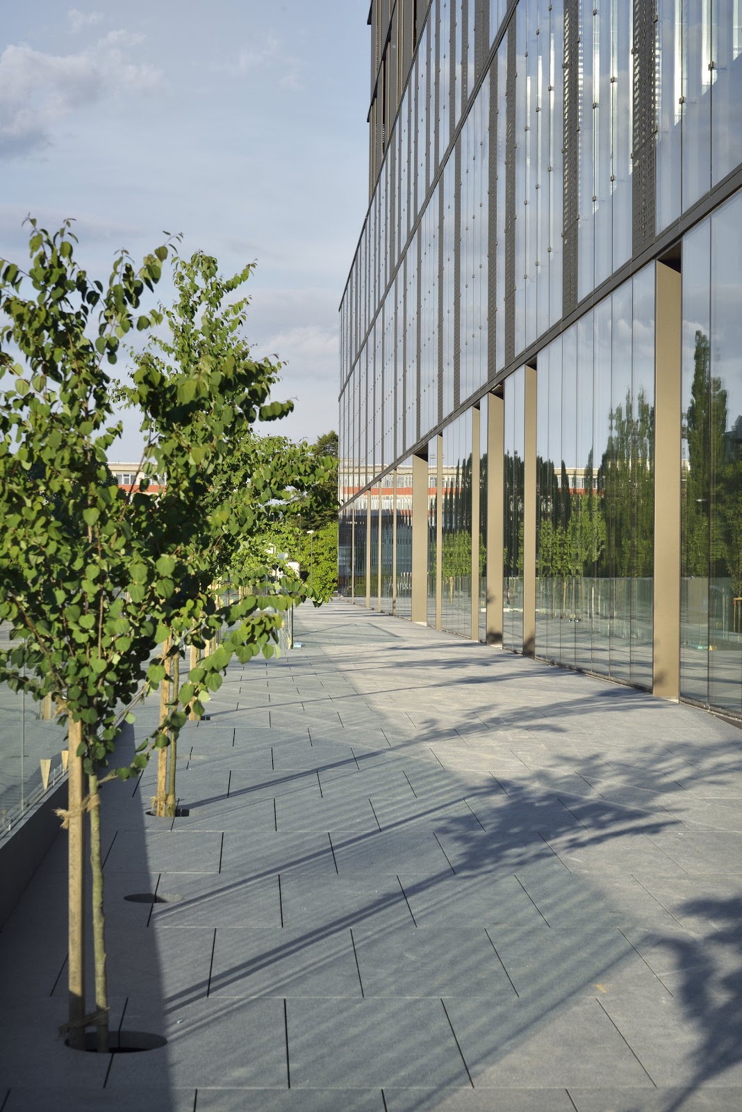 Bevk Perovic – a f a s i a