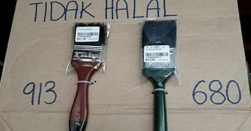 berus cat bulu babi - AdalyntaroFitzpatrick