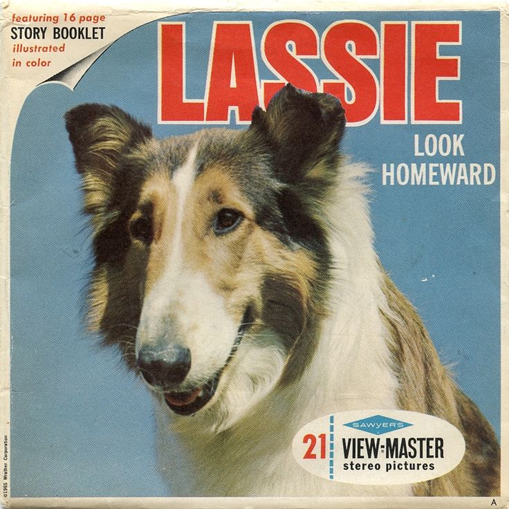 PERROS Y GATOS FAMOSOS: LASSIE