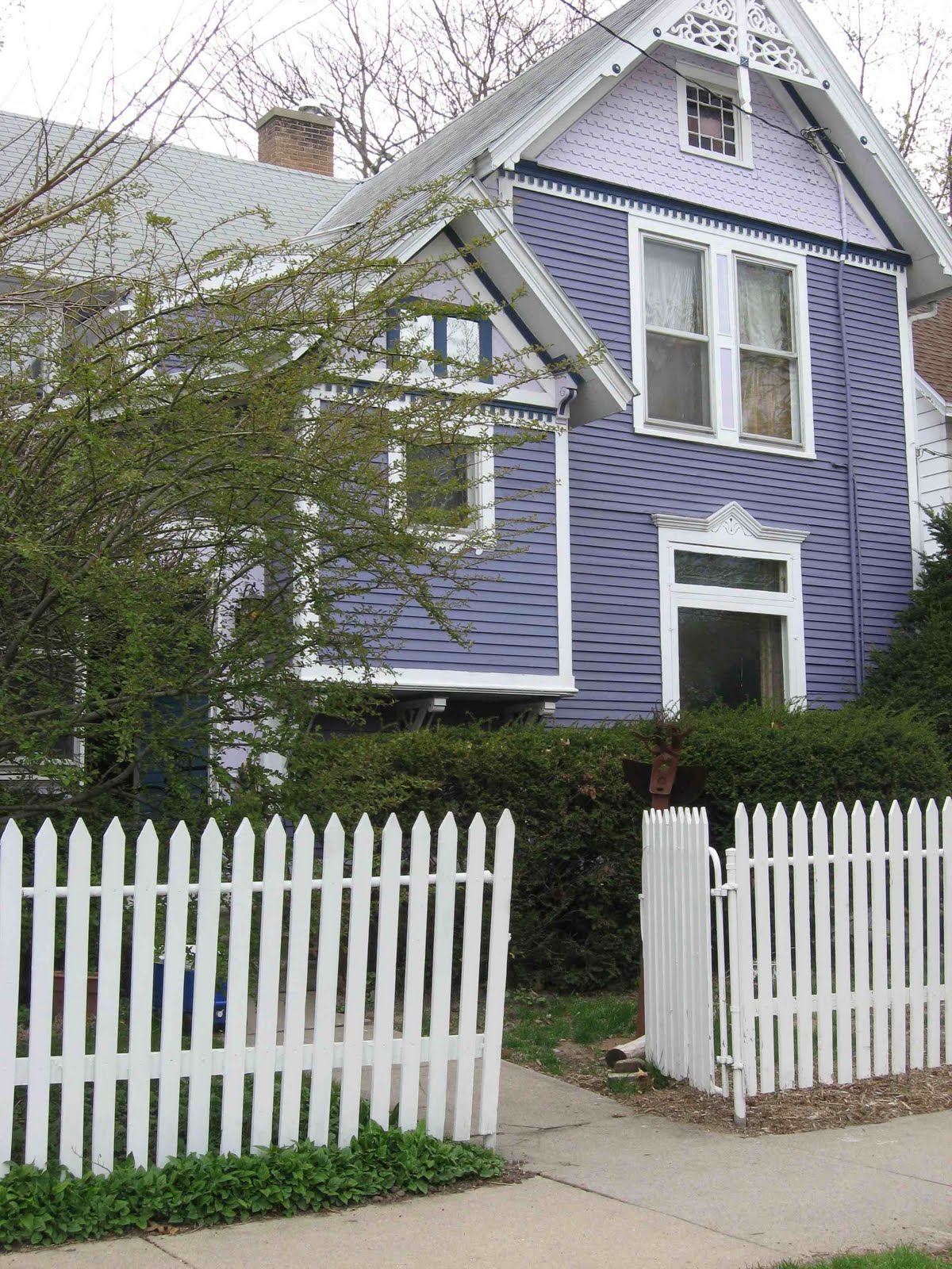 Pleasant Living: MADISON'S PURPLE CULT