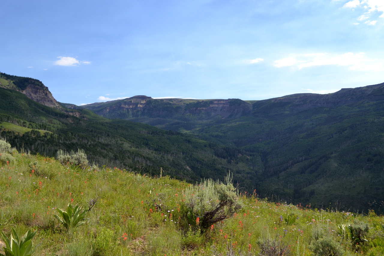 Flat Tops: Shingle Peak Trail