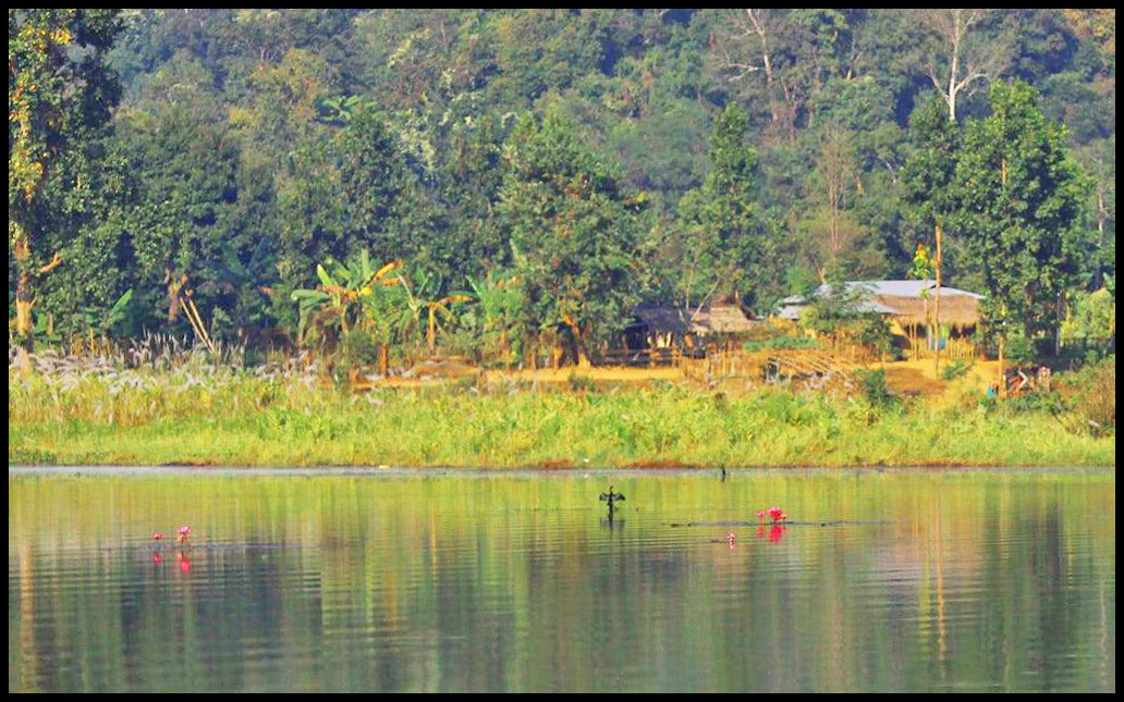 Chandubi Lake,Assam,India | Travel life journeys
