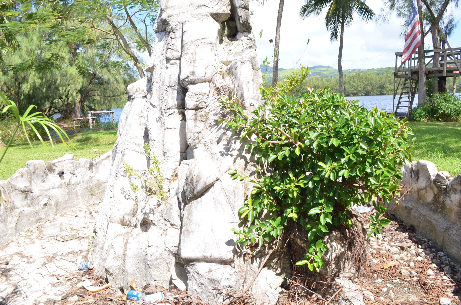 Biodiversity in Saipan - Salvi Villanueva & Patrick Llaban: Susupe Lake!