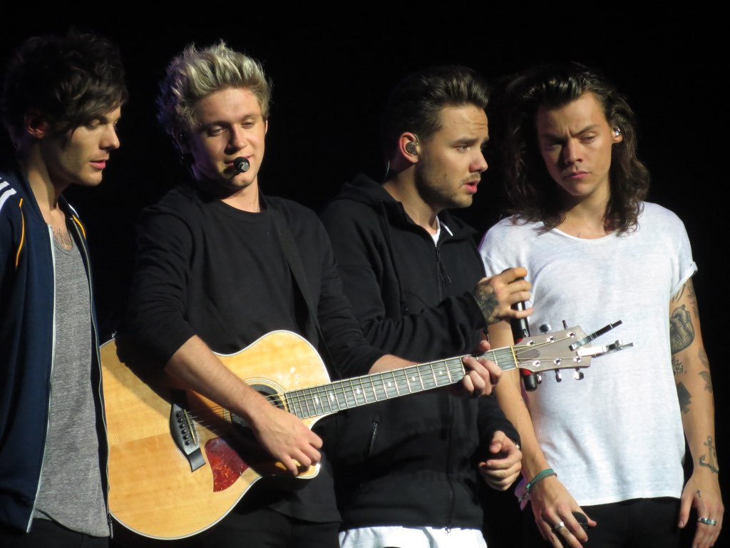 Seed The Music: March 25 2015: 2 years later, where is 1D currently?