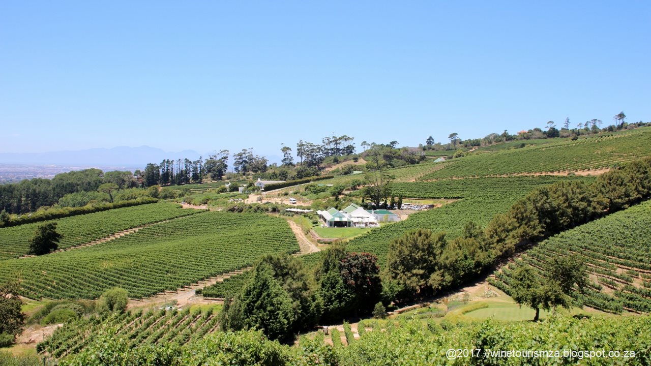 Wine jewels in the making from Constantia Glen harvest 2017 ...