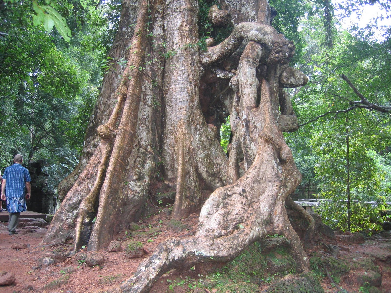 Joel Swagman (Reviews / TESOL): Angkor Wat (and Siem Reap)--Travelogue ...