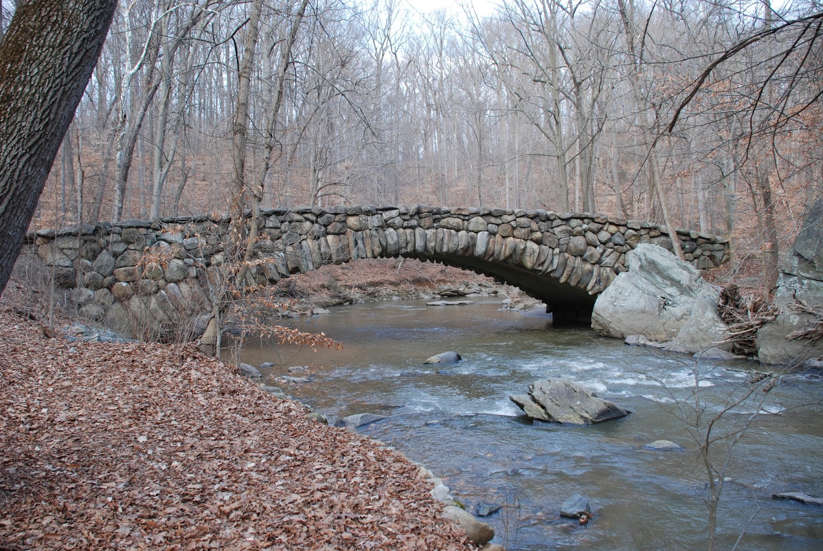 Fifty Hikes at 50: February 2014