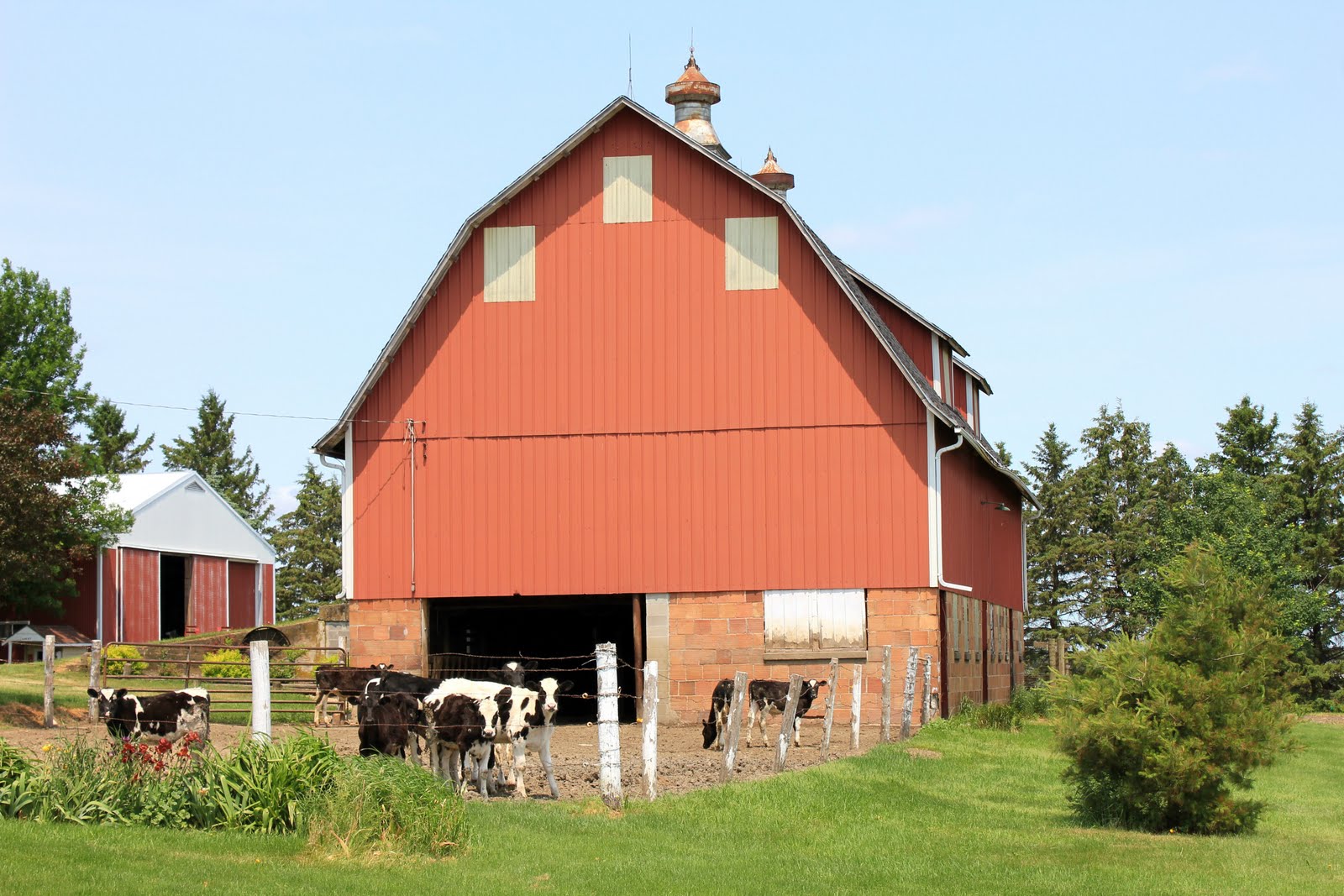 Squash Blossom Farm: A Few Farms Along the Way
