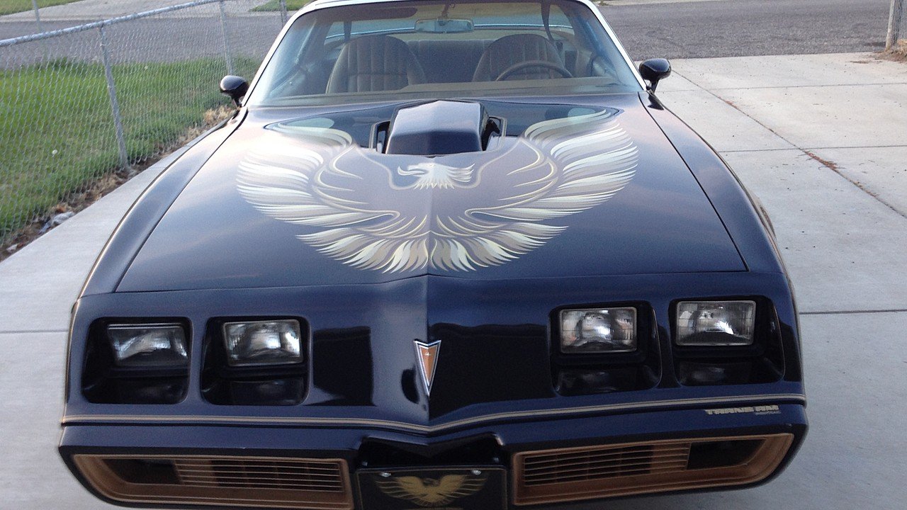 Experience the Iconic American Muscle Car: Trams Am 1979 - History ...