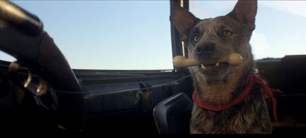 Romantic Ruins: Post-Apocalyptic Dogs of War