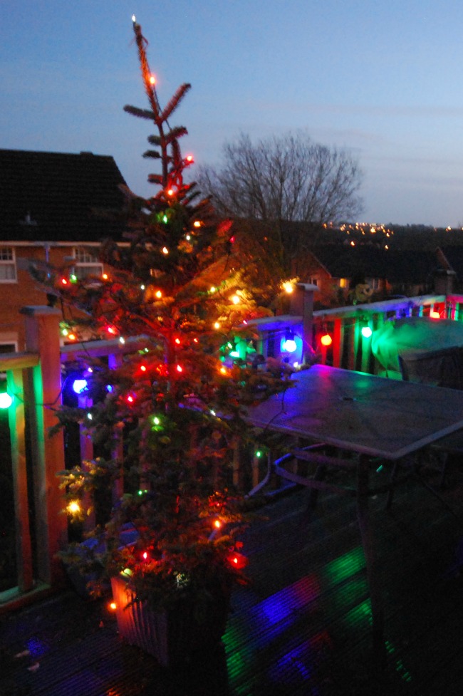 A Cardiff Garden In December | Teddy Bears And Cardigans