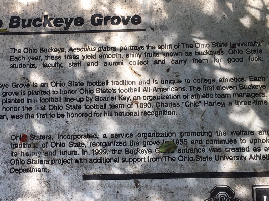 That's What She Said: A Buckeye Fan Blog: Journey to Buckeye Grove, Pt. 1