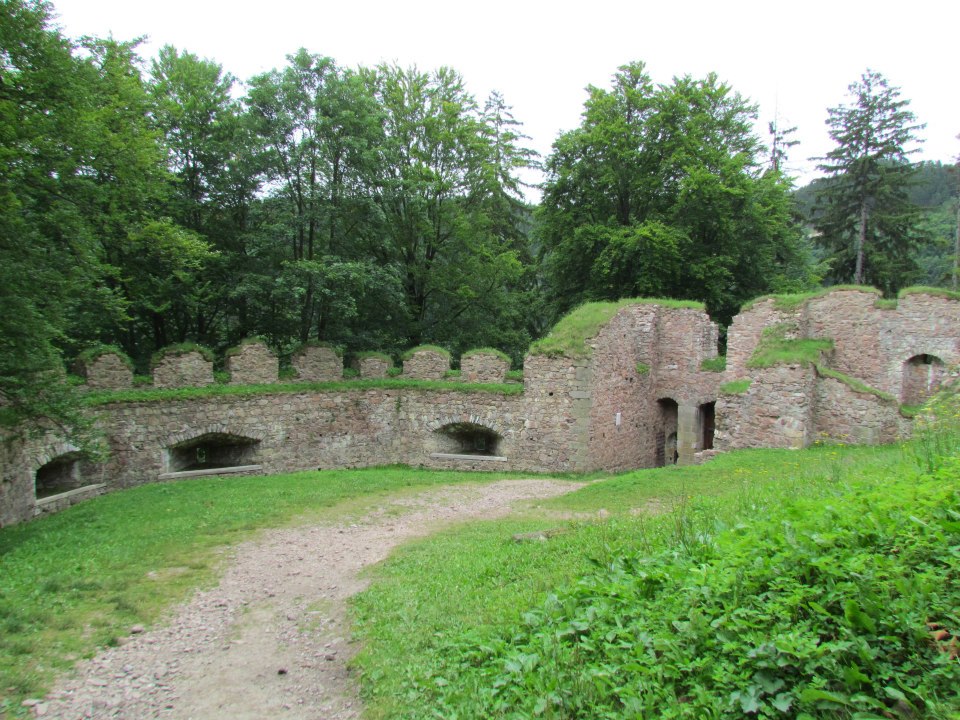NAŠE ZAHRADY: Cesty po českých luzích a hájích Hrad Litice nad Orlicí