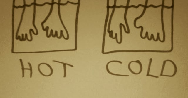 The Healthy Hoff: Contrast Hydrotherapy