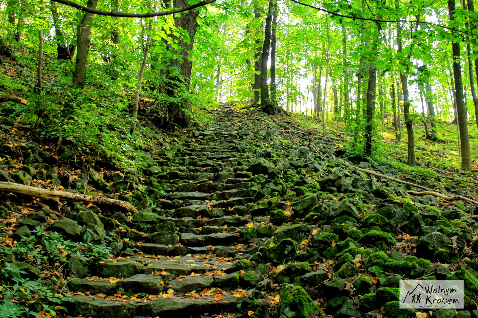 Ostrzyca Proboszczowicka - Szlak Wygasłych Wulkanów