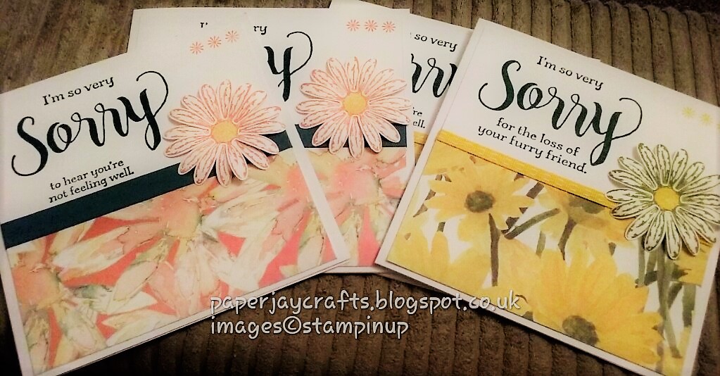 PaperJay Crafts: Sorry for Everything.......