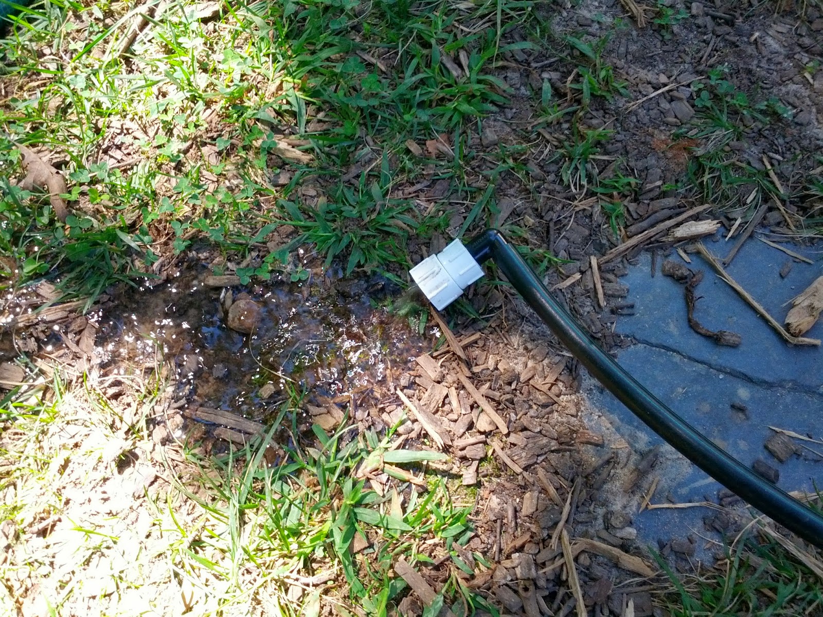 Delete the Nuts: DIY Check valve