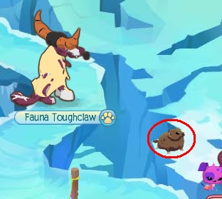 Animal Jam Adventures: Mt. Shiveer Journey Book