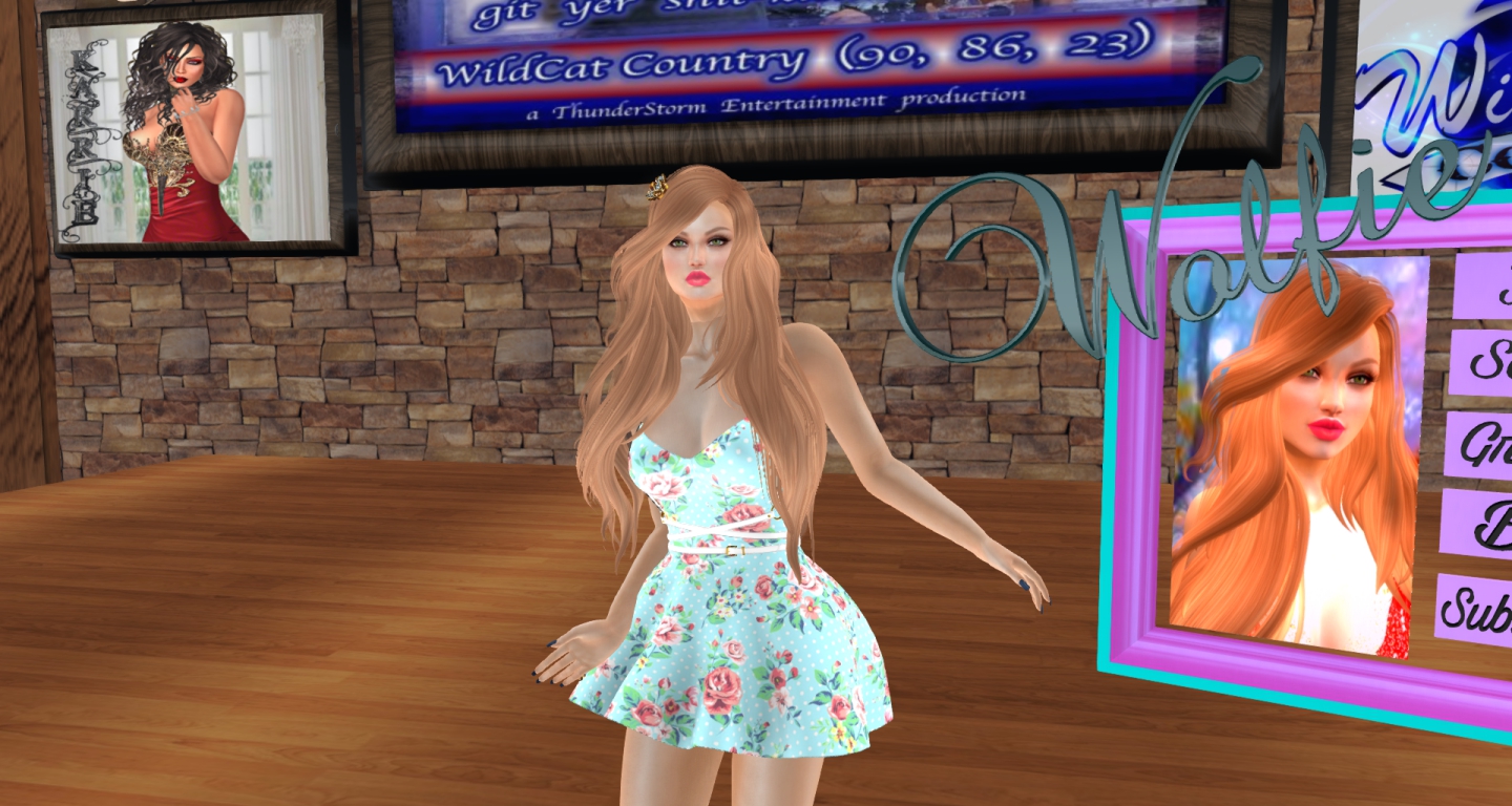 January 2019 ~ The SL Enquirer